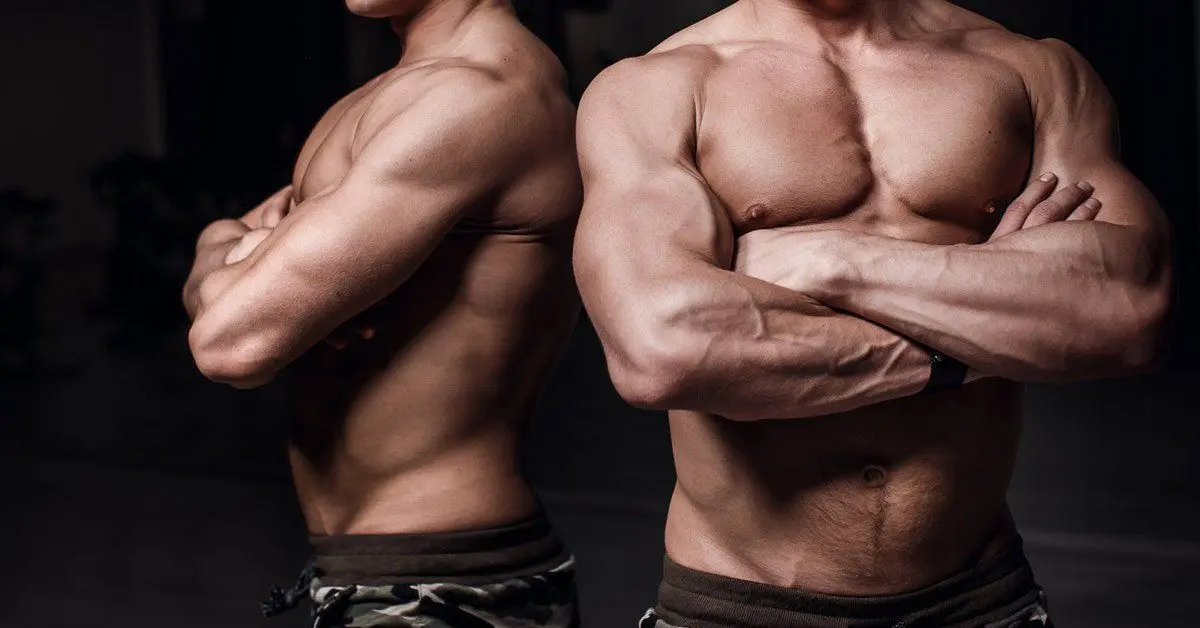 Bulking for Beginners - How & When to Bulk → XXL