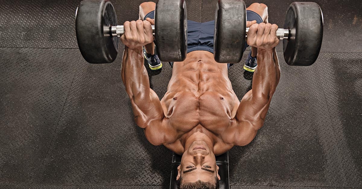 Met deze 8 trainingssplits bereik je een optimale groei - XXL Nutrition ...